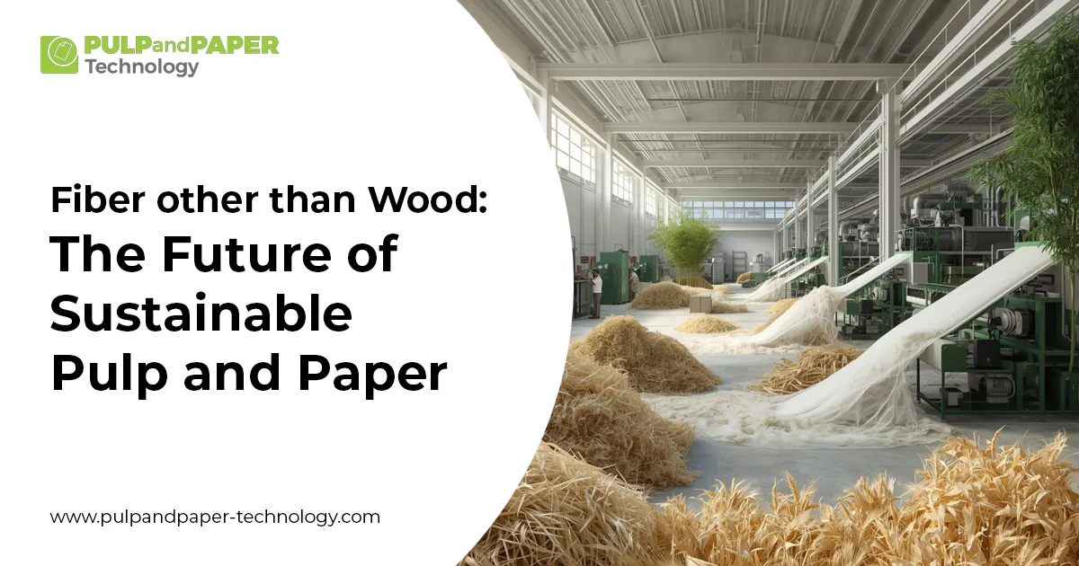 Non-Wood Pulp: The Future of Sustainable Paper Production